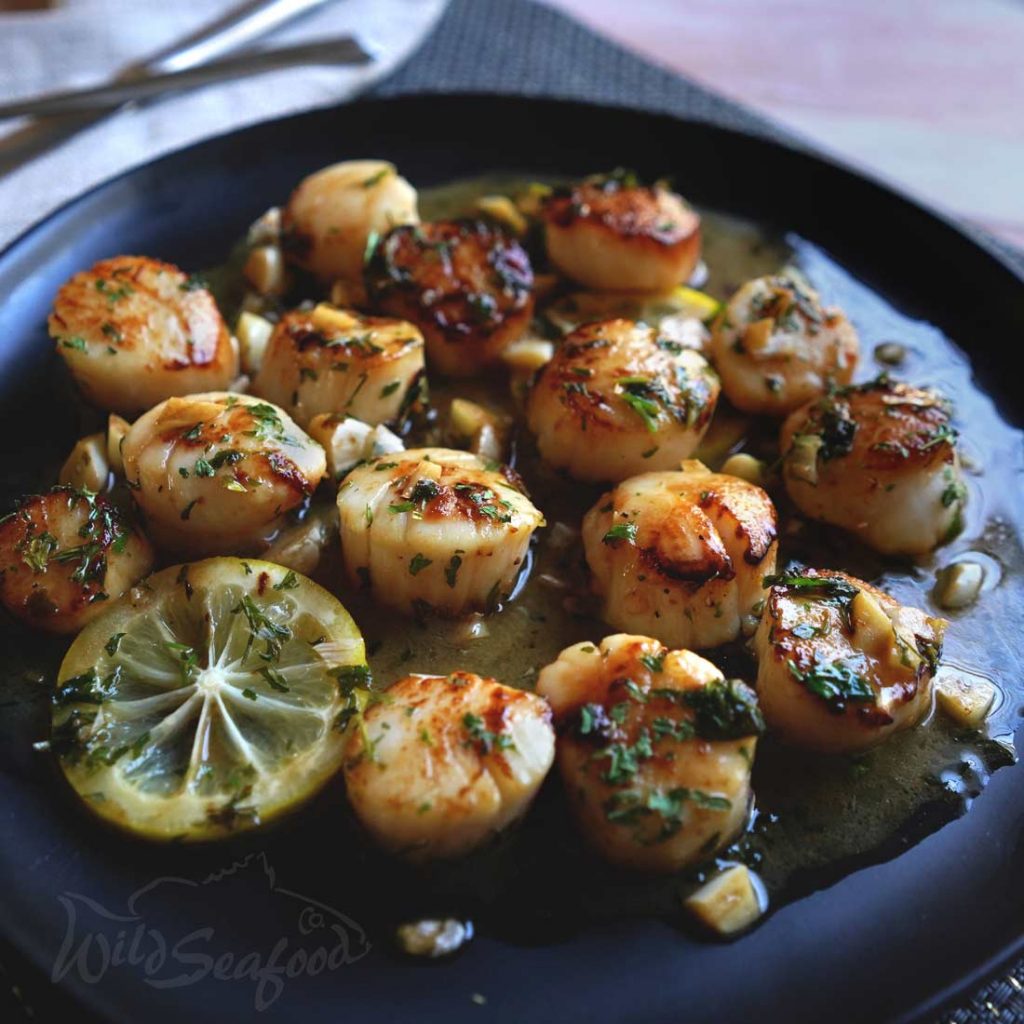 Order Fresh Sea Scallops (Dry & Domestic) | Wild-Caught | IQF