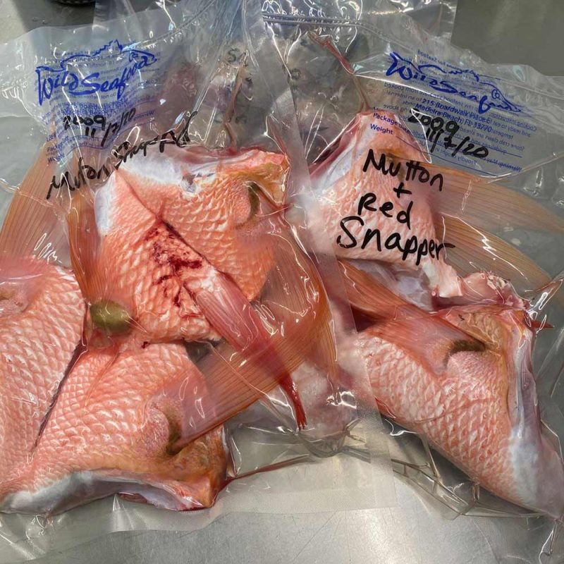 Red Snapper | Fresh and Flavorful Catch | Seafood Market