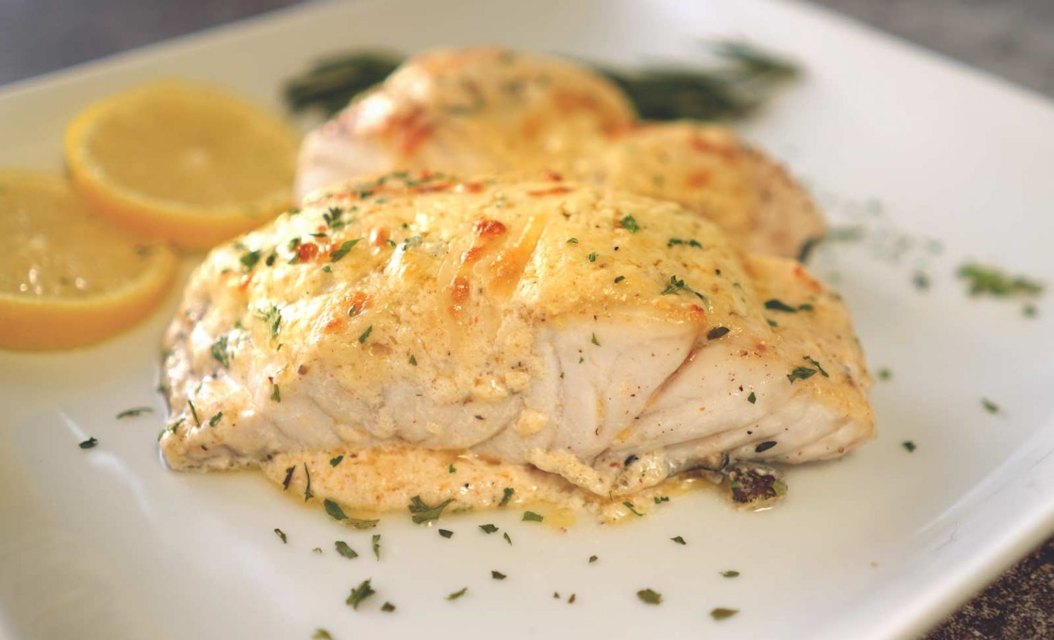 Parmesan Baked Grouper | Gourmet Dish by Seafood Market